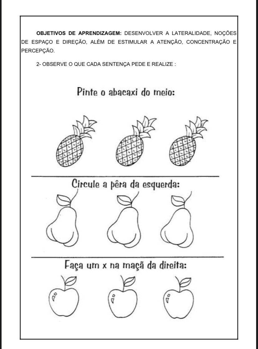 CENTRO EDUCACIONAL MUNICIPAL SÃO CRISTÓVÃO: Atividades AEE