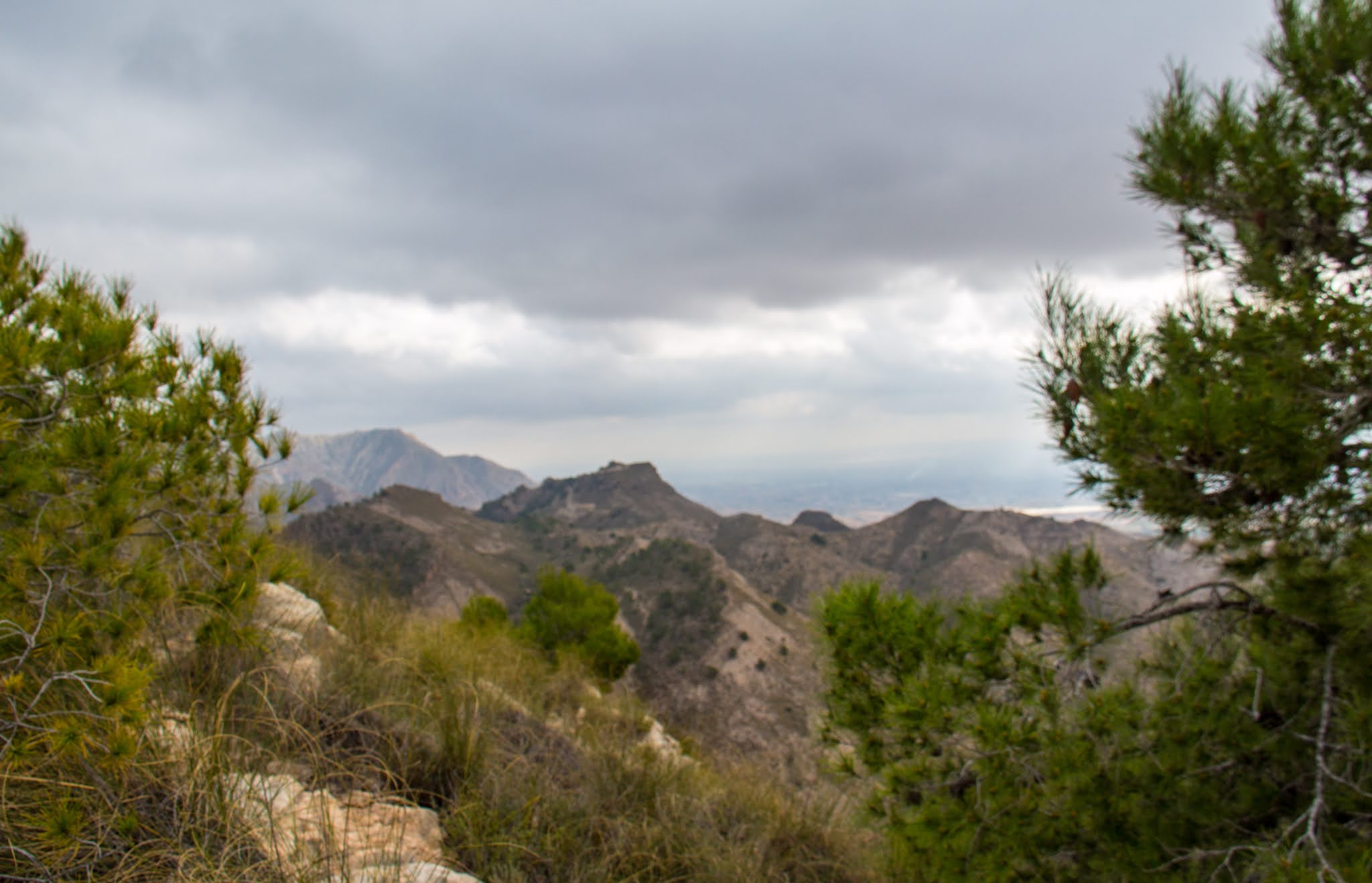RUTA CIRCULAR AL CERRO DEL AGUDO DESDE BARBARROJA.