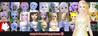 VZX Yokebone: About Website