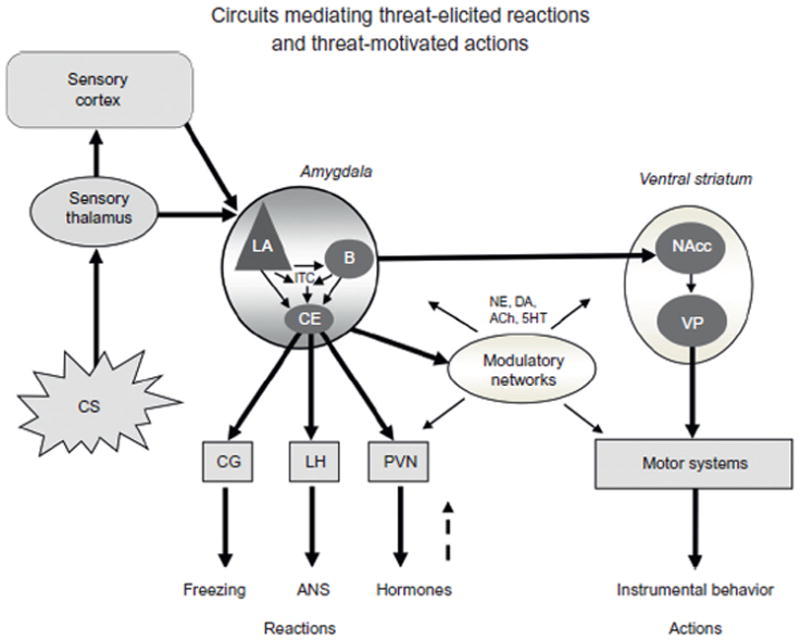 MIRADAS CIENTÍFICAS: Ciencia y miedo