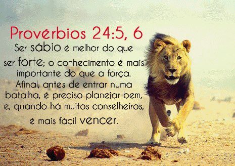 Provérbios de hoje - Desvendando Segredos com Talyta Xavier