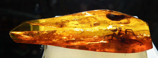 minerales mania: AMBAR