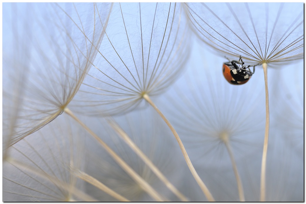 Photography Fernando Ruiz Tomé: Naturaleza Frágil. Natura fragile