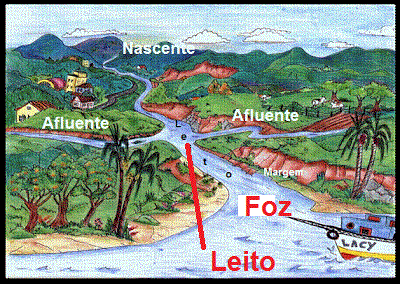 Quinto Ano Beti EIB: Hidrografia - Noções Básicas