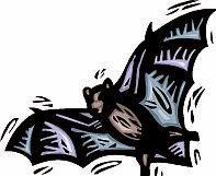 Kids Stories: The Bat, the Birds and the Beasts-Fable of Aesop