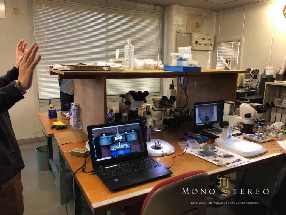 brooklynpolew - Blog