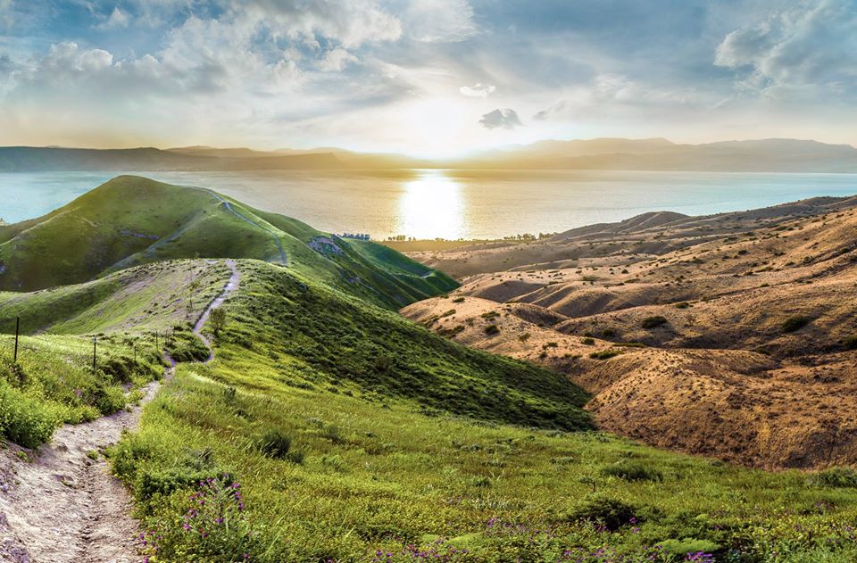 DISCÍPULO: EL SIGNIFICADO DE LOS MONTES Nueva edición