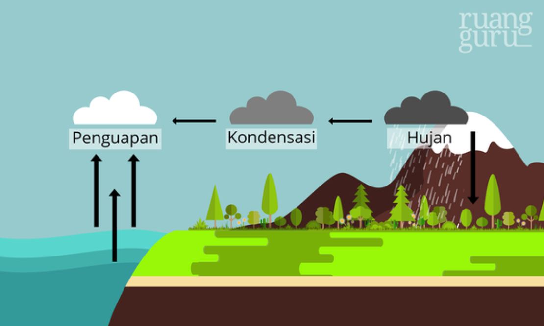 Jenis-Jenis Siklus Hidrologi - Geograpik