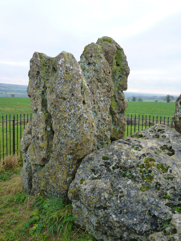 Cotswold Peeps: The stones at Rollright