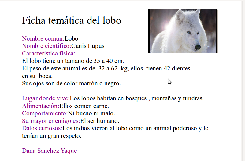 Descubriendo Bichos: Lobos
