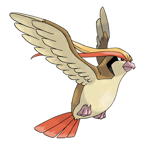 amateurnithologist: Who's That Pokebird?