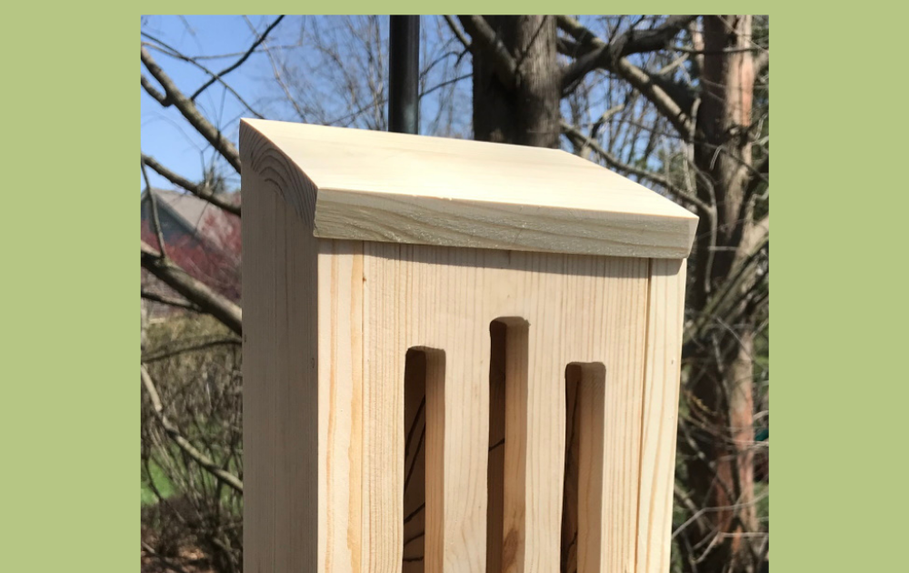 Tiny Tool Time: How to Build Your Own Butterfly House