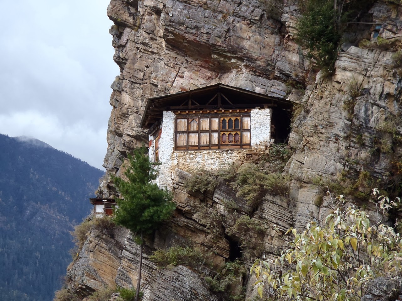 Heather Robertson in Bhutan: Chelela Pass (Cheli la)