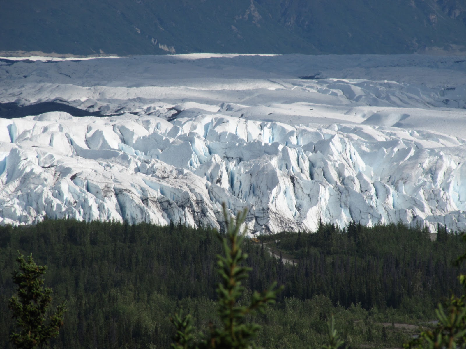 Some recent AK photo's (train, backyard, area) - Alaska - Page 1144 ...