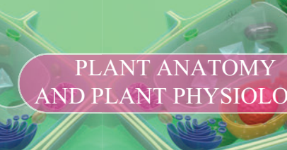 SSLC SCIENCE E/M : 12.PLANT ANATOMY AND PLANT PHYSIOLOGY