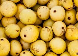 WebTvAngolana: Frutos e Frutas Silvestres de Angola 2019