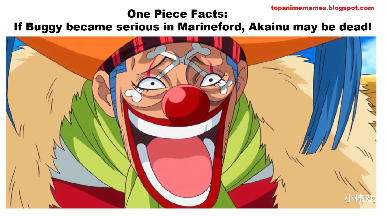 One Piece Memes Only Fans Will Understand Part 30