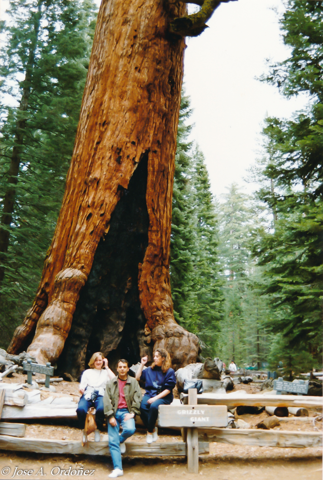 El Jardín de la Barrosa: Viajes en el pasado. Visitando los parques ...