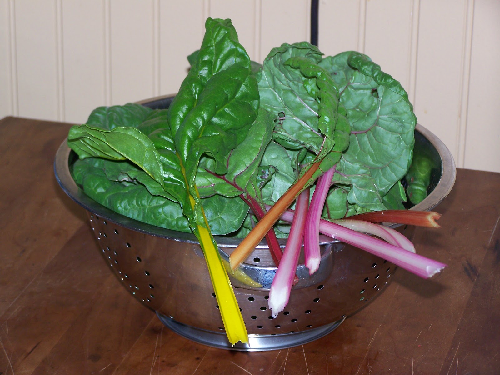 Captive Roots: First Swiss Chard Harvest!