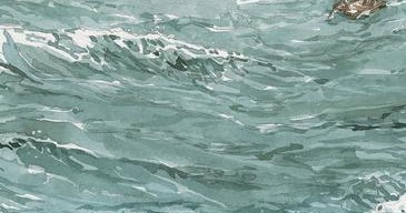 Kids' Book Review: Review: Waves