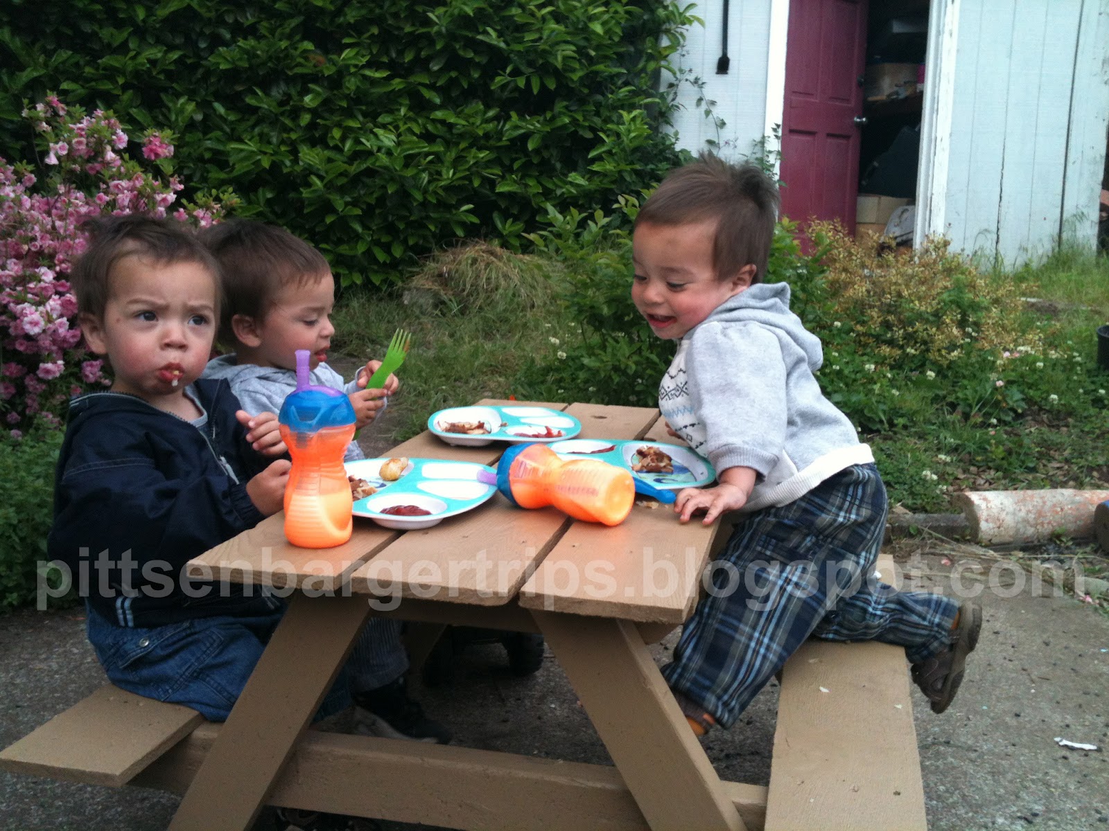 PITTS TRIP'S: the Pittsenbarger identical triplets saga: Potty Training ...