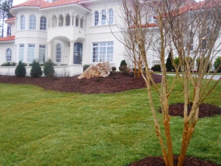 A Complete Landscape – From Start to Finish