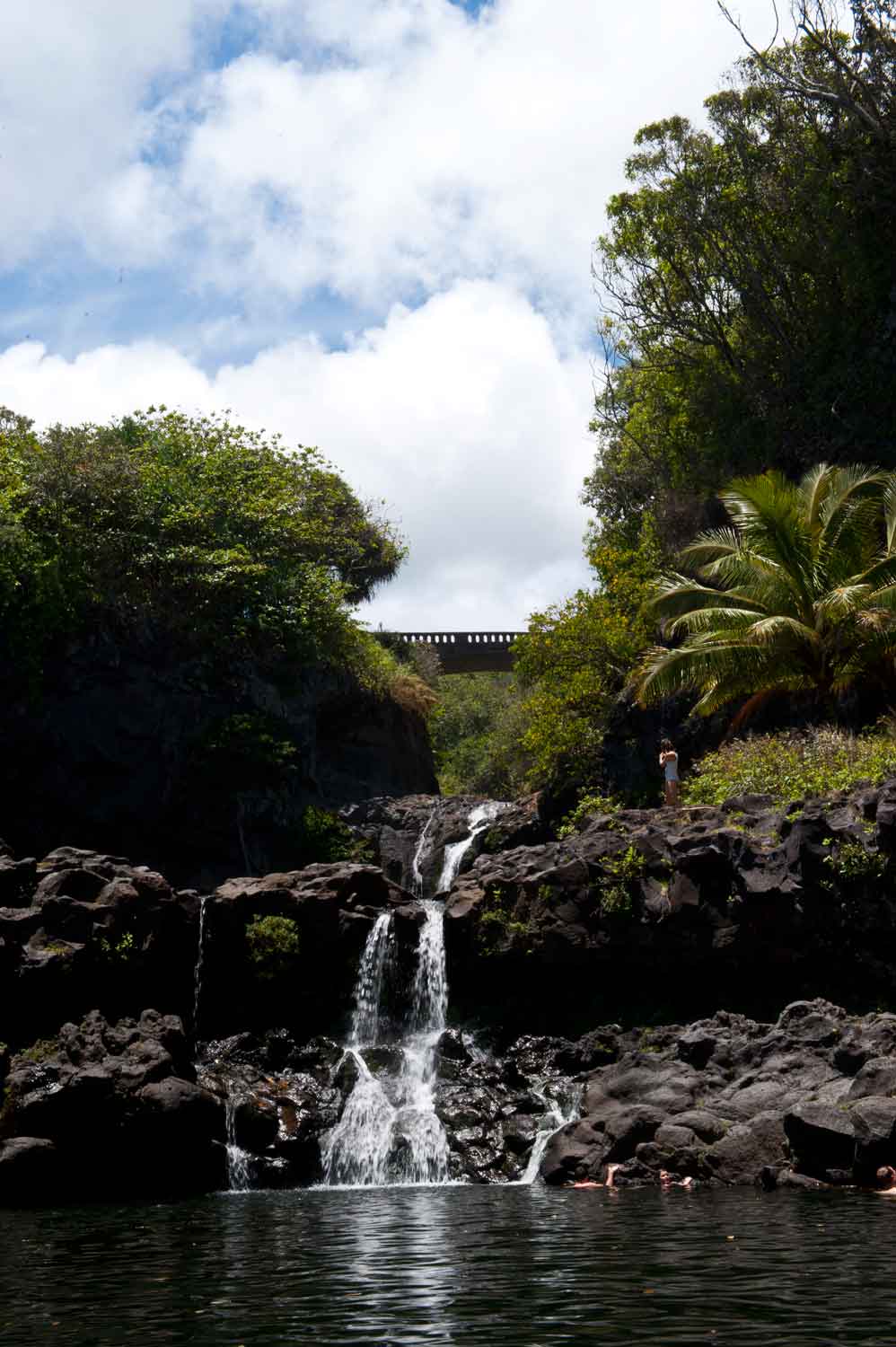 Kissack Adventures: Seven Sacred Pools (The Dreaded "Road to Hana")
