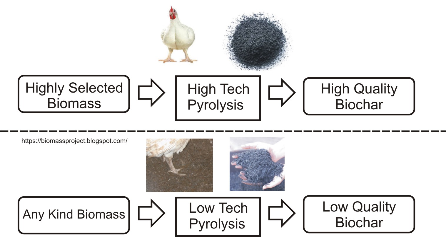 Biomass Industrial Innovative Projects: Biochar for Chicken Farming