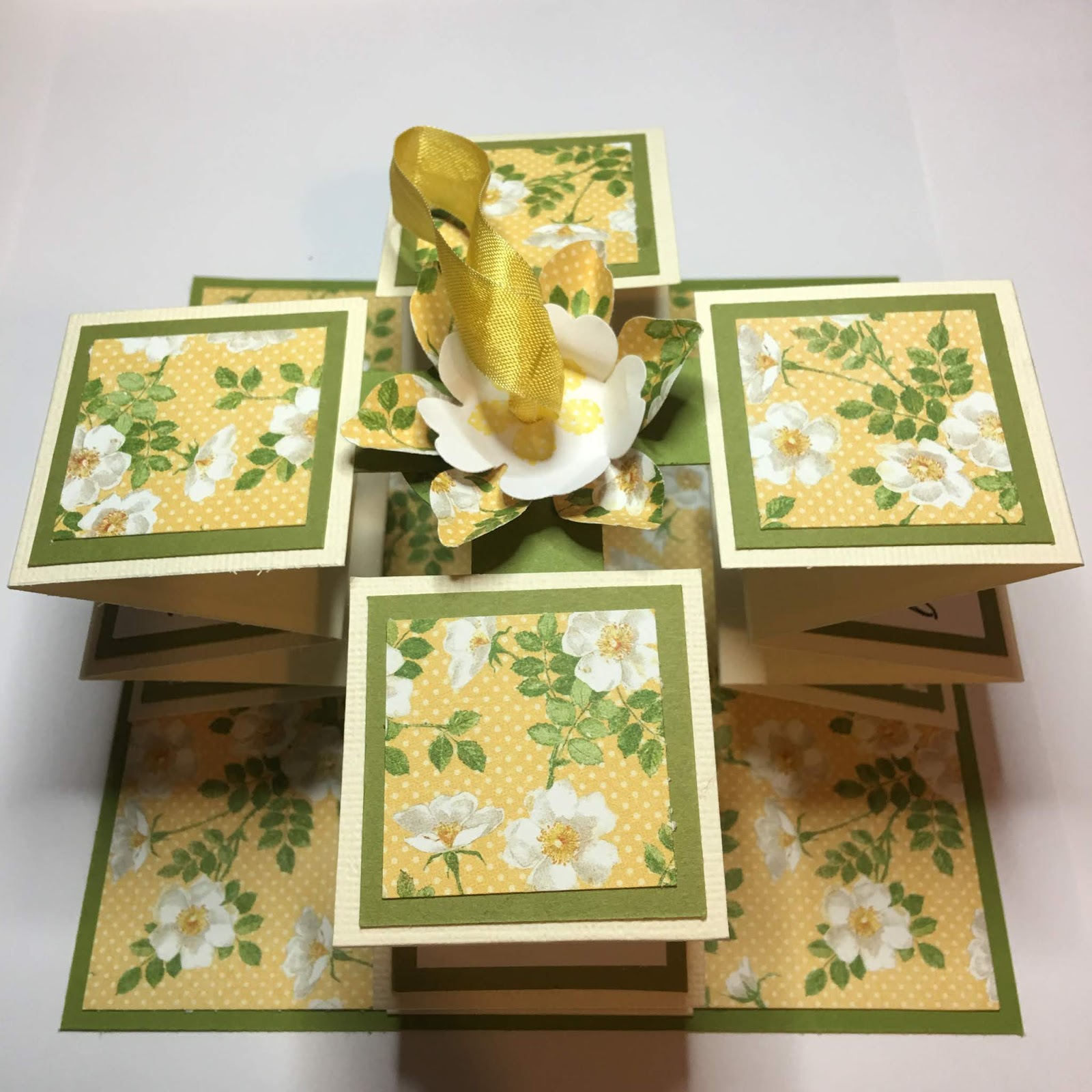 Birdcage Craft Studio: Pull Up Greetings Card Photo Tutorial