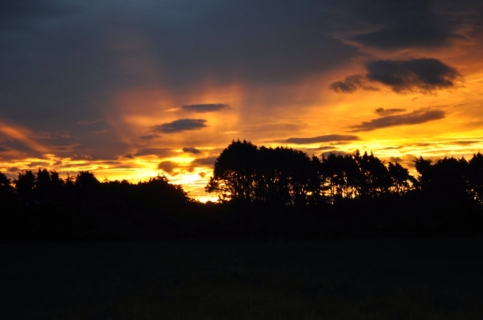 Dutchcorner: Christchurch Christmas light show