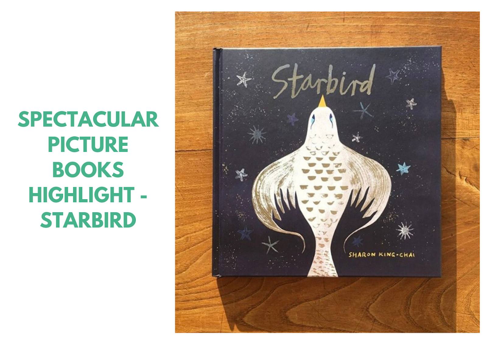 Spectacular Picture Books Highlight - Starbird - BookBairn