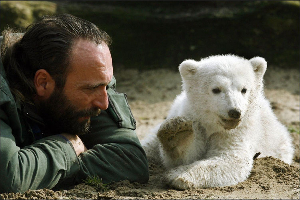 art monad - アート: RIP Knut and Thomas