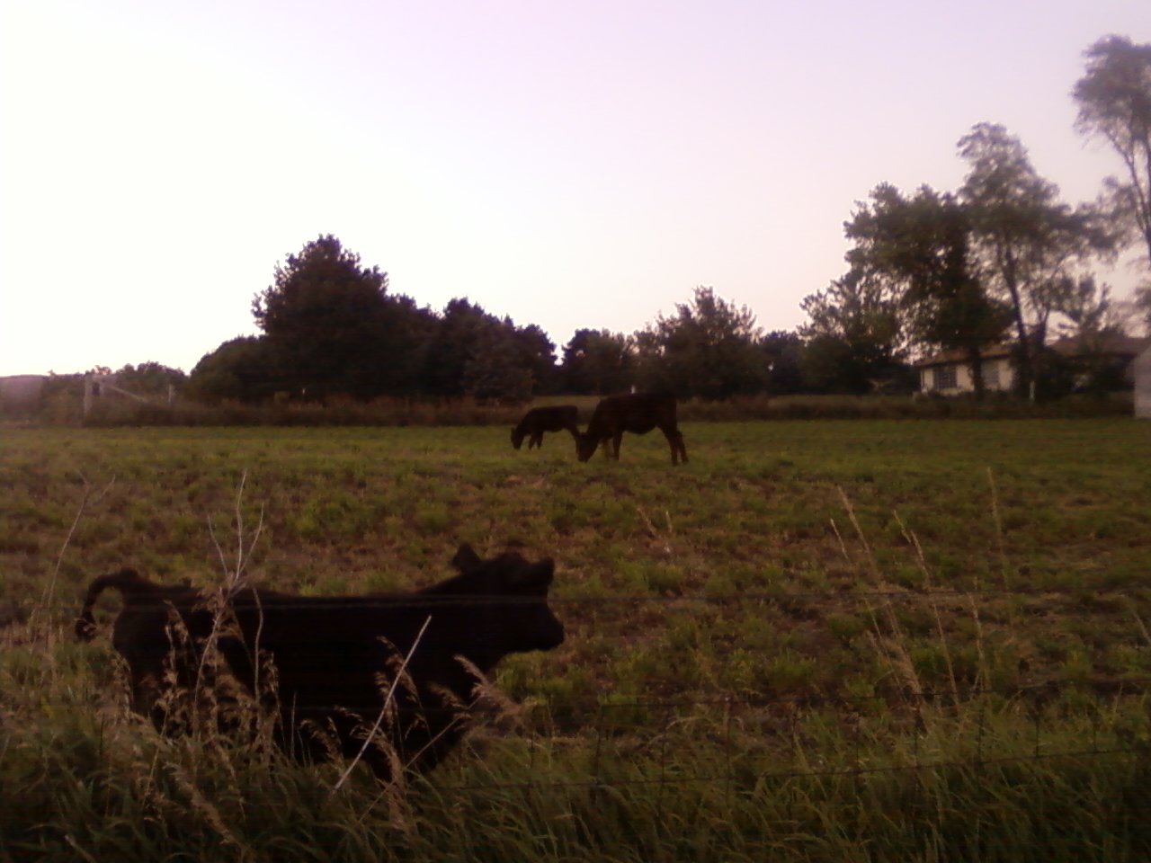 Beam The Light Be The Change: A Healing Journey Part Four: Pictorial