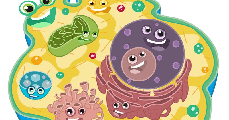 Vive la Ciencia: La Celula