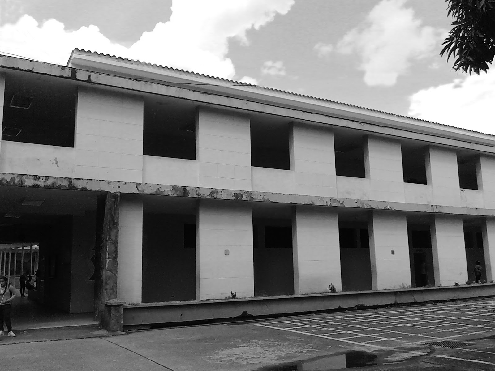 Liceo Nacional Juan Germán Roscio: Reseña Histórica