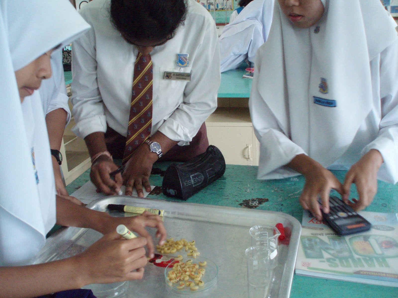 poonchengmoh: CAPTURE, MARK, RELEASE & RECAPTURE METHOD