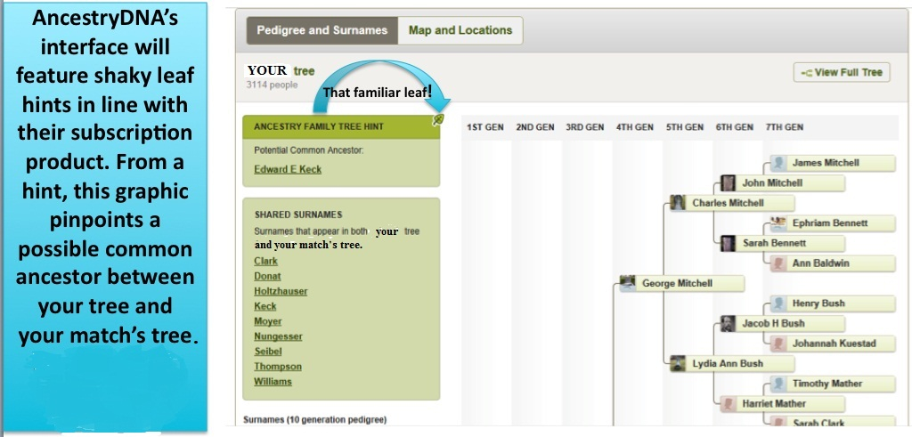 Your Genetic Genealogist: New Information on Ancestry.com's AncestryDNA ...