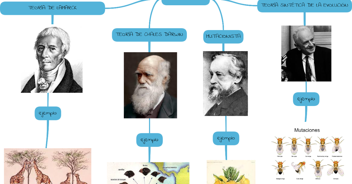 LA EVOLUCIÓN : TEORÍAS EVOLUTIVAS