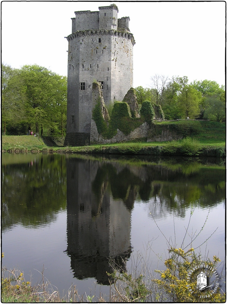 LA FRANCE MEDIEVALE: ELVEN (56) - Château-fort de Largoët : Donjon ...