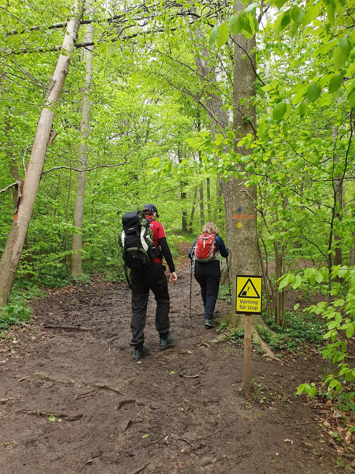 Team Vildmark: Vandring Omberg runt