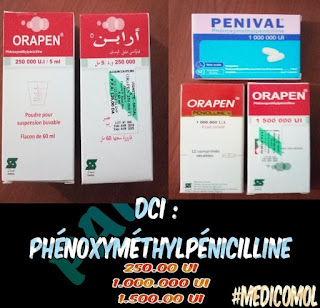 Les Antibiotiques _Pénicilline - Para Mol