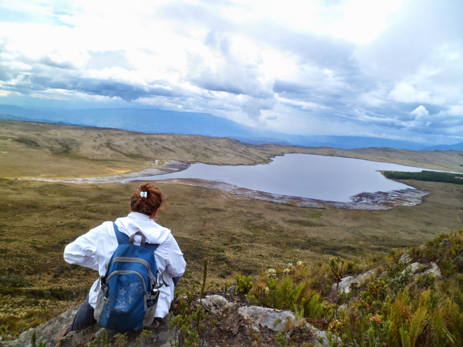 EDUCACIÓN AMBIENTAL PARA LA PROTECCIÓN DE PÁRAMOS: PARAMO EL RABANAL ...