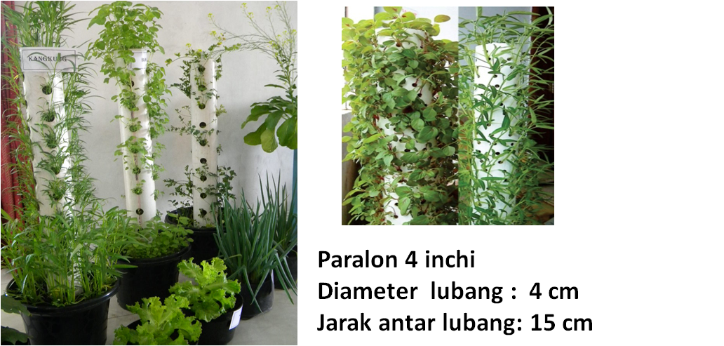 Travelling dan Berkebun: Vertikultur