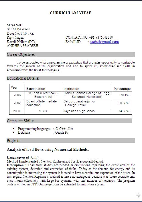 cv template ireland free download