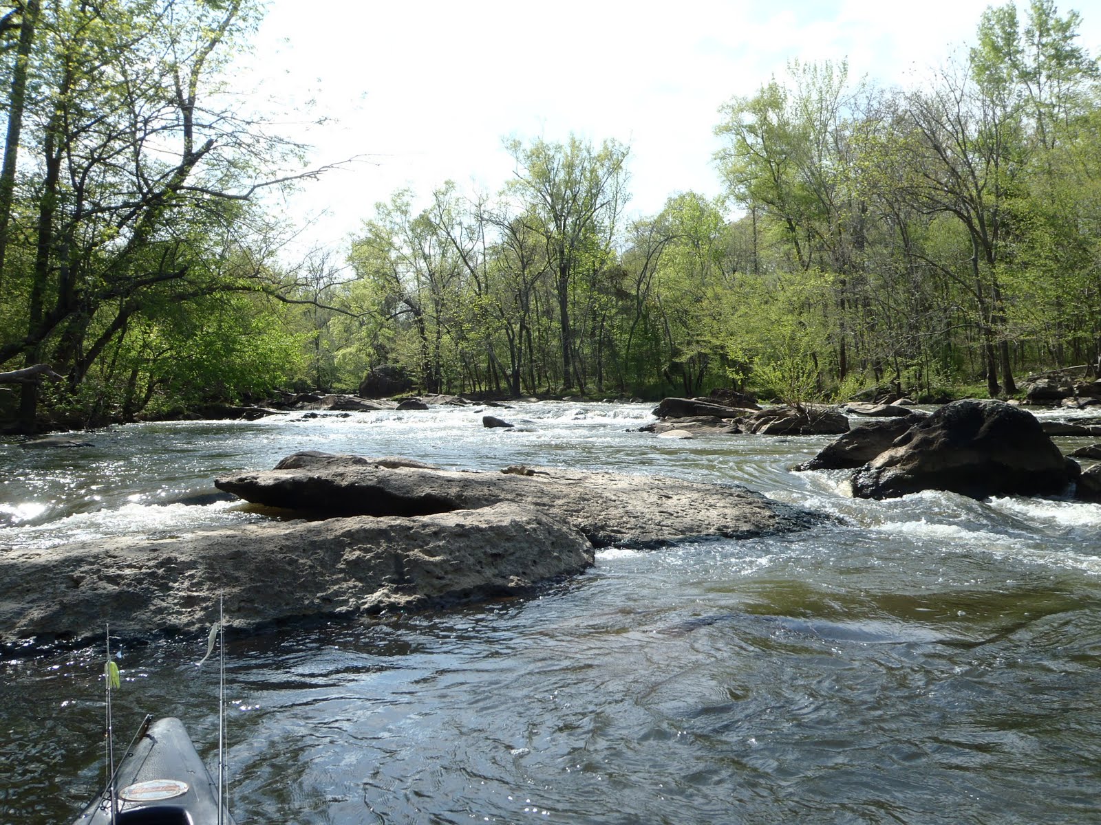 Fish Whisperer: Movin' on Up ... the Deep River