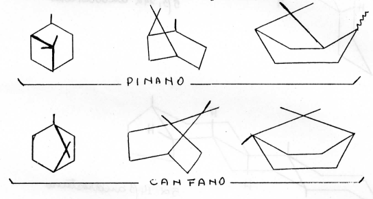 Propanona: Estereoquímica V: Decalina y otros sistemas policíclicos