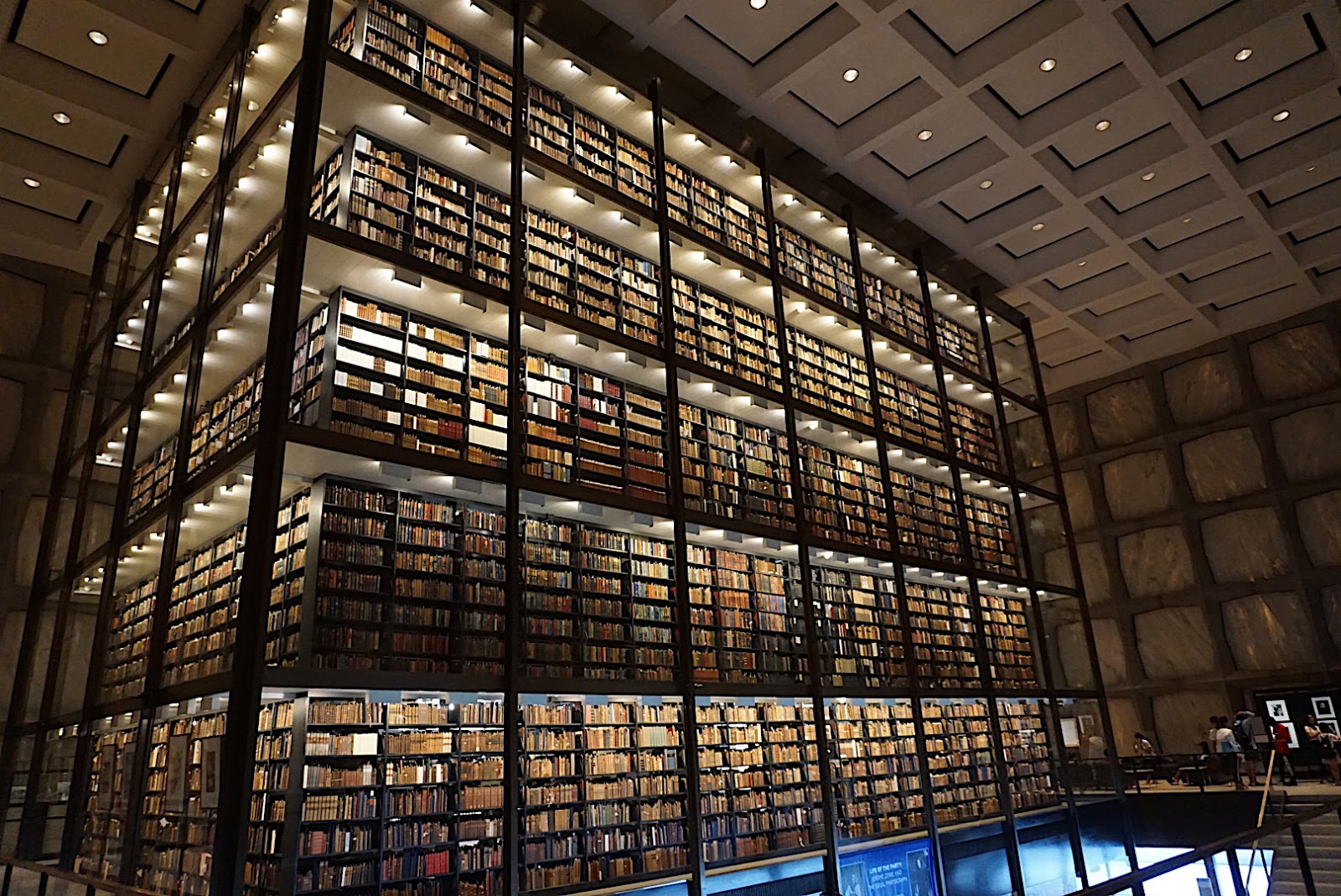 Come visitare l'Università di Yale: consigli e curiosità su una delle ...