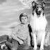 View from the Birdhouse: Dear Abby - Famous TV Dogs: Lassie