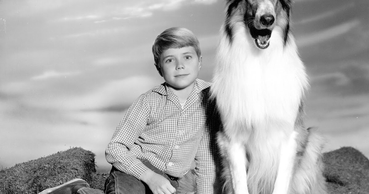View from the Birdhouse: Dear Abby - Famous TV Dogs: Lassie