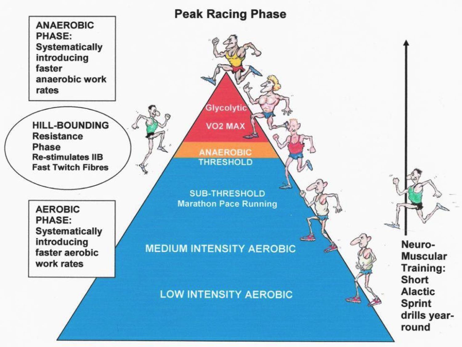 Natural Performance Rehab: Aerobic Development